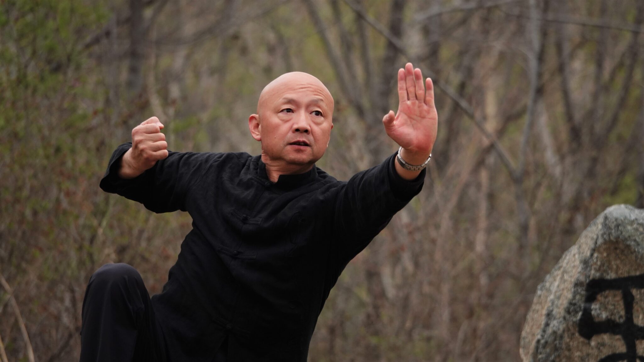 Home - Kungfu Republic