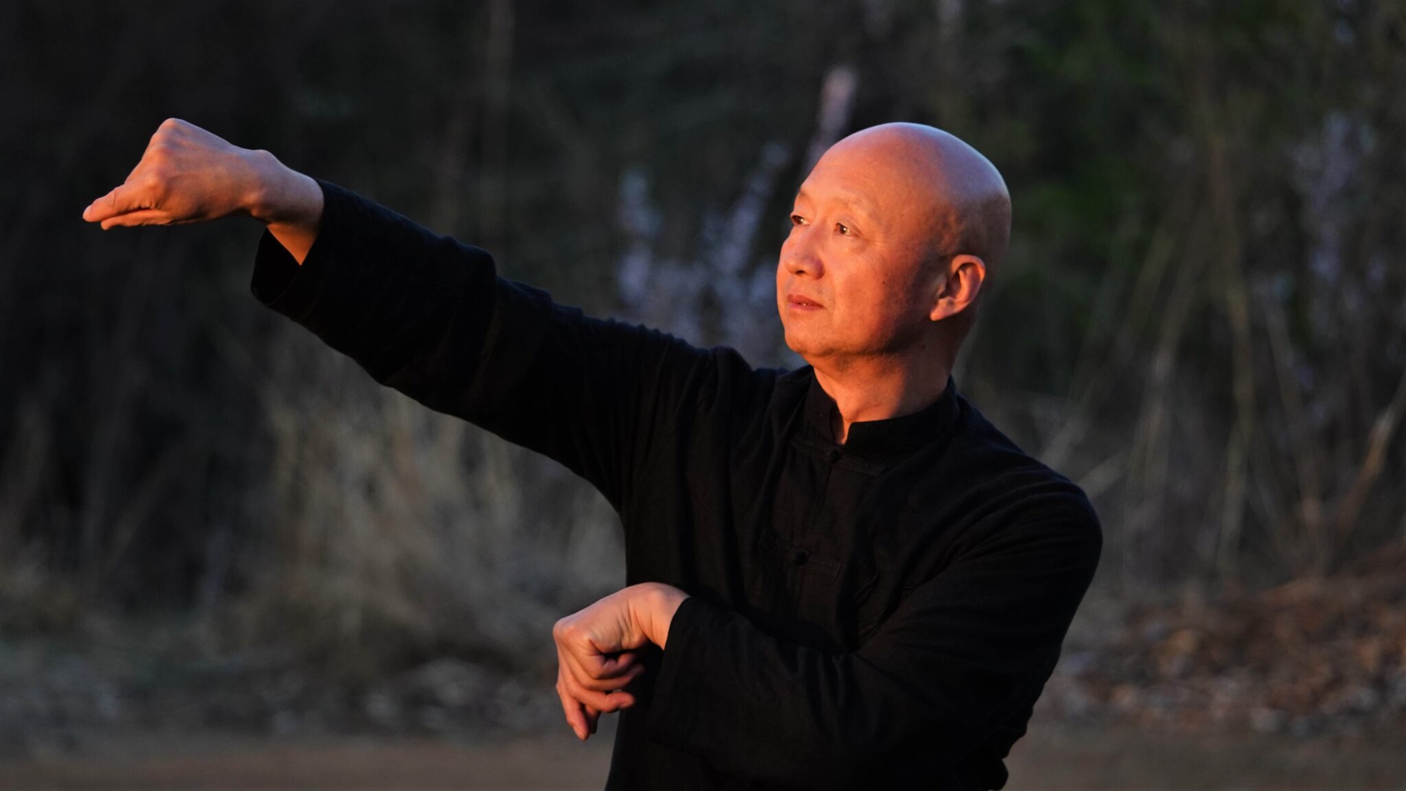 Praying Mantis Kung Fu - Kungfu Republic